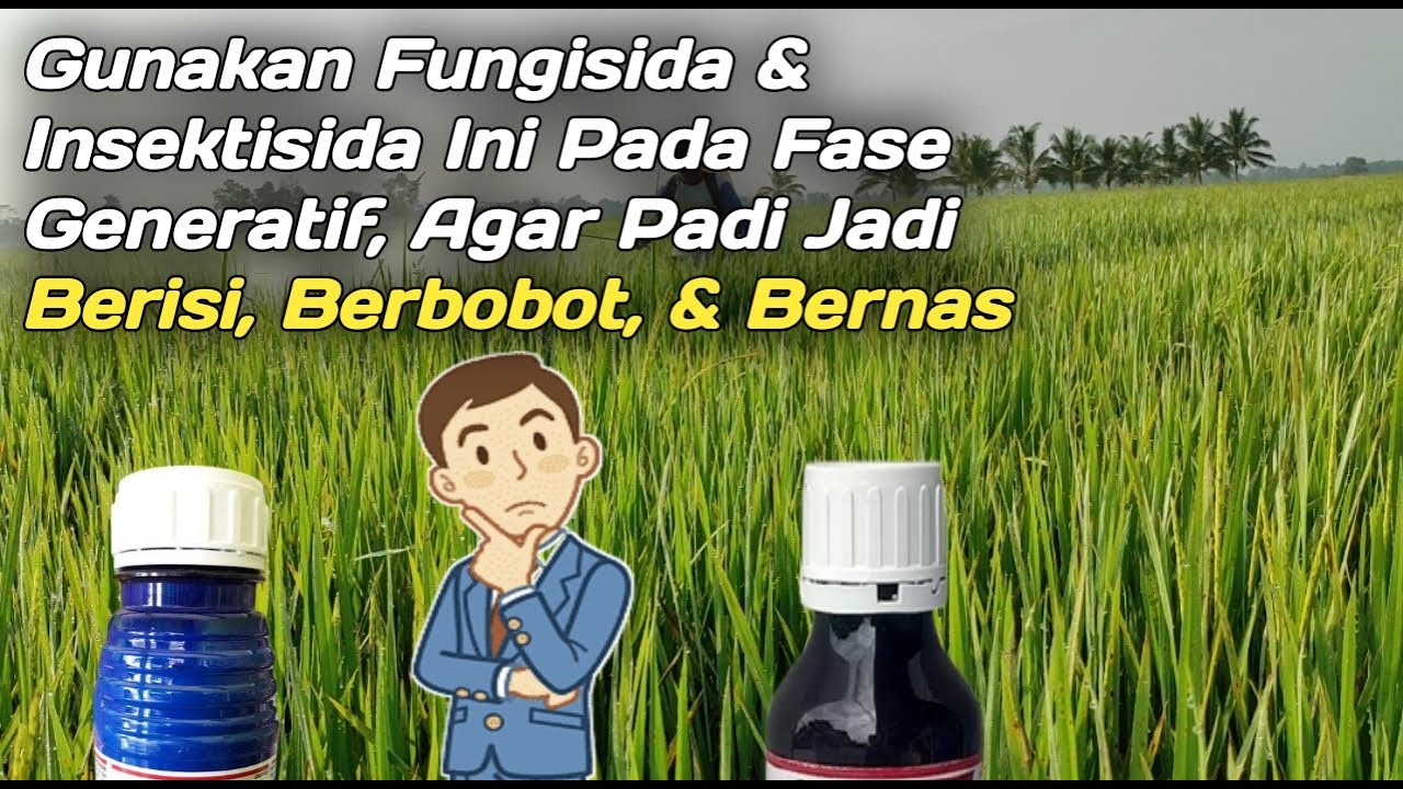 Cara Memilih Fungisida & Insektisida Yang Tepat Pada Fase Generatif ...