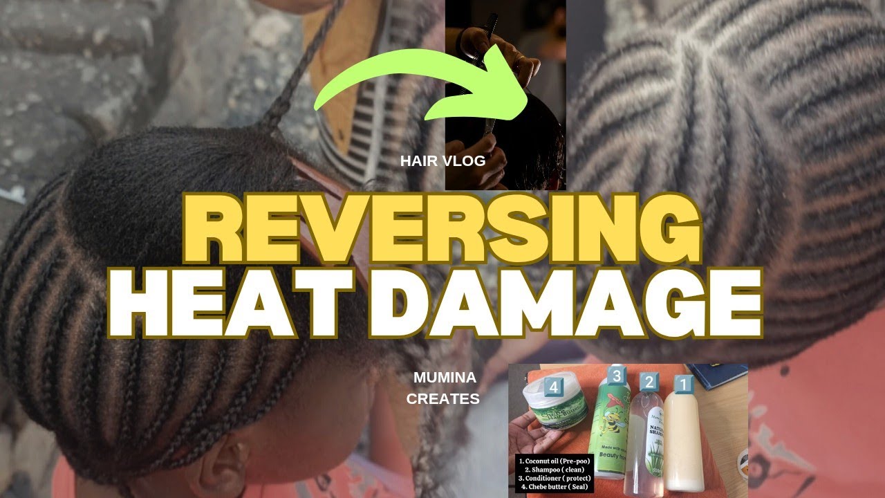 How to Reverse Heat Damage on African Hair Naturally | Restore Curl ...