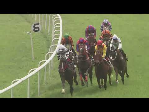 MONEY BAGS : THE MEYDAN PLATE (83)