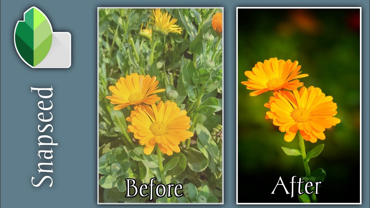 Revealing the Secret to Stunning Flower Photo Editing। - YouTube