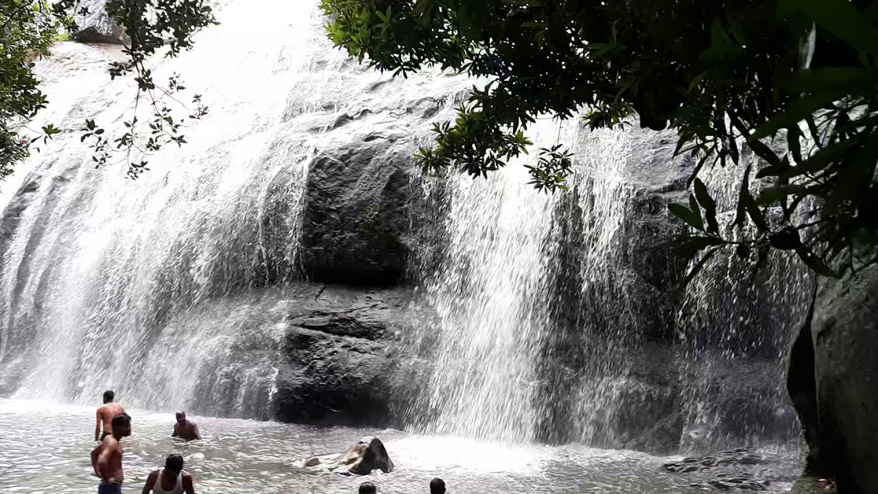 Aanayadikuthe waterfalls idukki - YouTube