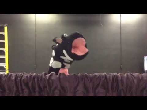 Puppet lip sync- rock you - YouTube