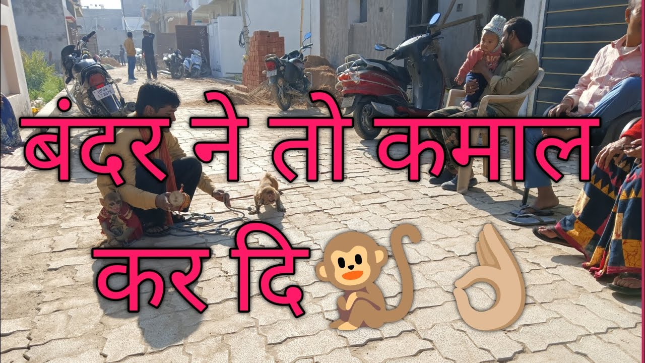 बंदर ने तो कमाल कर दिया#youtubevideo#monkey#kamal#bandar#shorts# ...