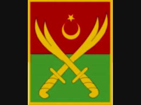 Delikanlı Türkleriz ( şiir )