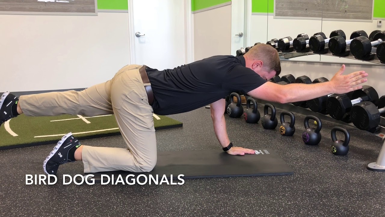 BIRD DOG DIAGONALS - YouTube