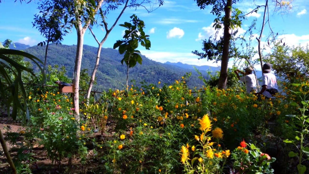 What's on Tangkil Cliff - YouTube