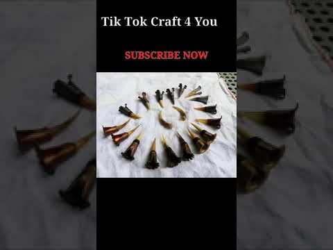 Tik Tok Aseel Lovers    Top Tik Tok Aseel Keel Collection    Aseel Lover    Tik Tok videos   YouTube