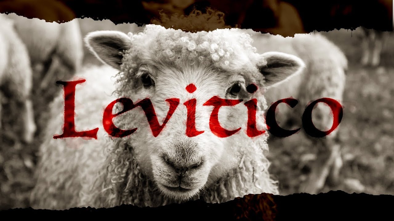 ''Panorama general de Levítico'' - YouTube