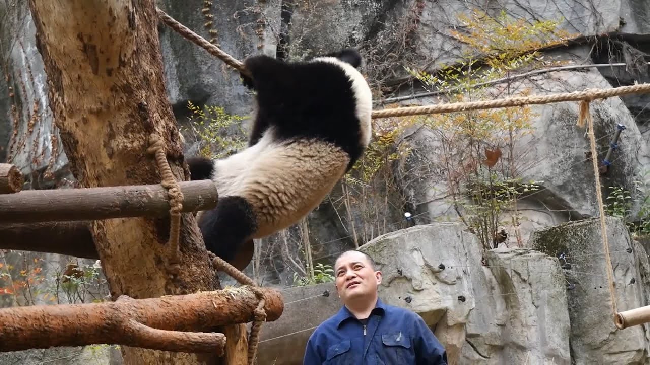 3.15 Grandpa smiles after finally getting Lun Hui to come down and he ...