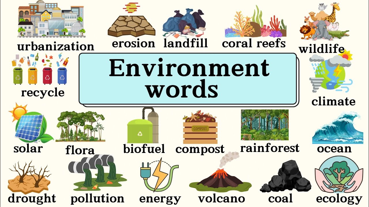 Environment words. English words with pictures and videos - YouTube