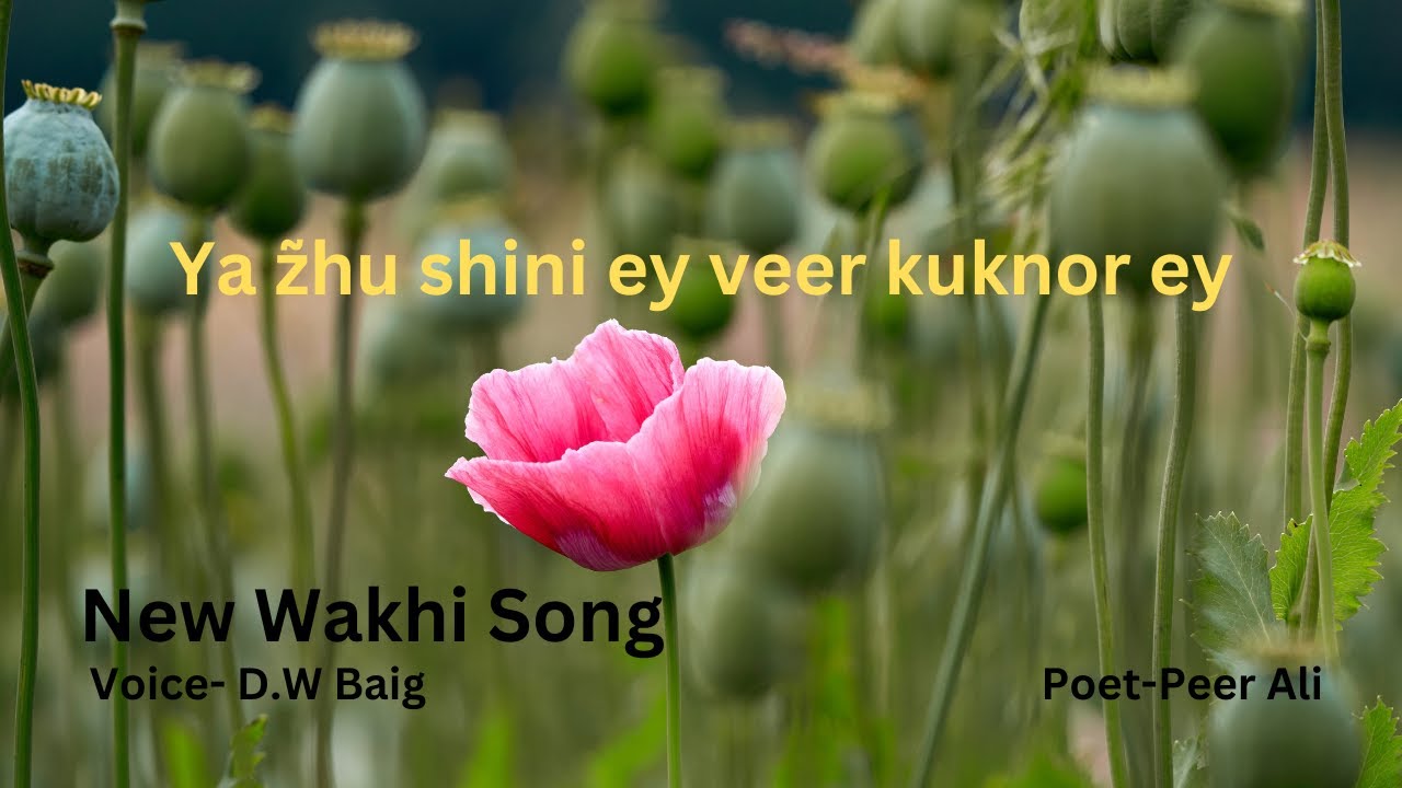 New Wakhi Song ya zhu shini veer kuknor lyrics - poet- Peer Ali, Voice ...