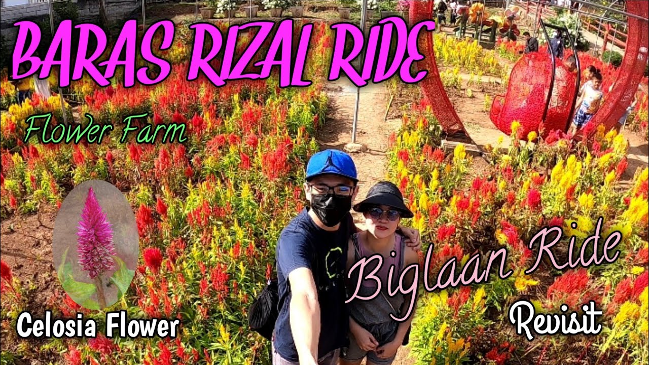 Flower Farm Rizal Philippines | Best Flower Site