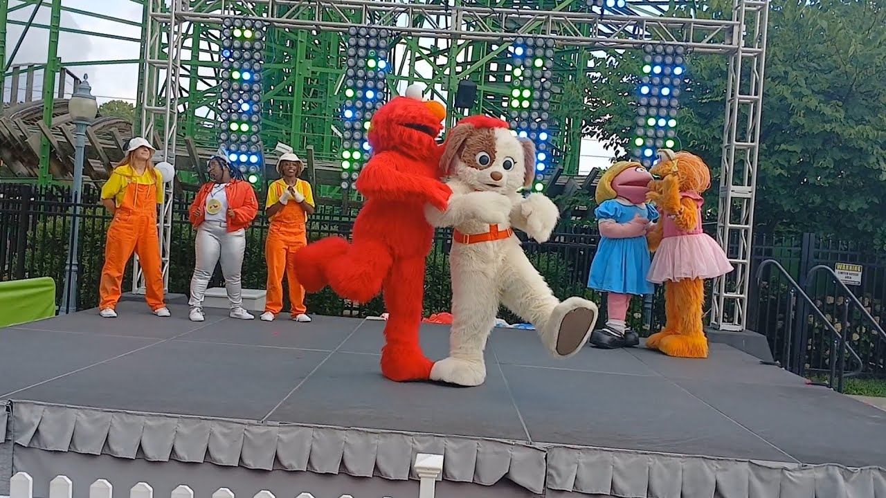 "It's better when it's with you": Furry Friends Puppy Dance Party ...