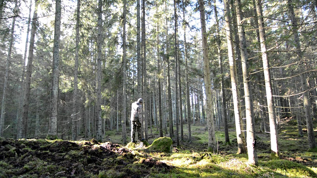 Loud Bullroarer Demonstration - YouTube