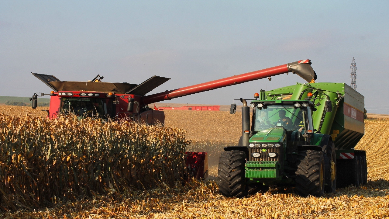 Corn Harvest 2016 - Case IH 9120 Combine and 12 Row Corn Head | John ...