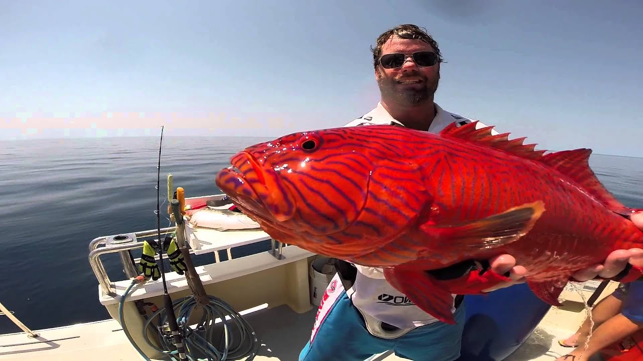 Scott Reef Fishing Teaser - YouTube