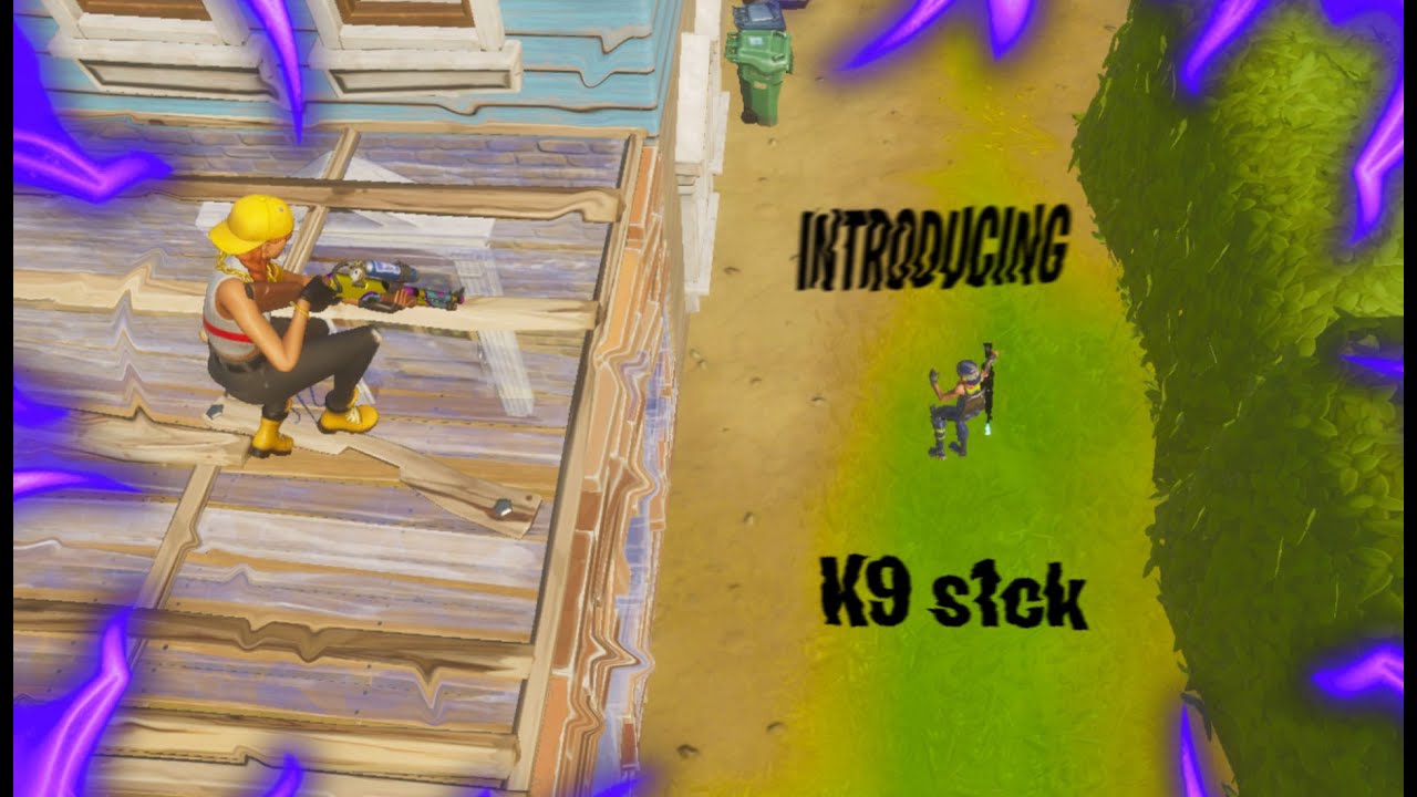 Introducing K9 s1ck l Tiger🐯 - YouTube