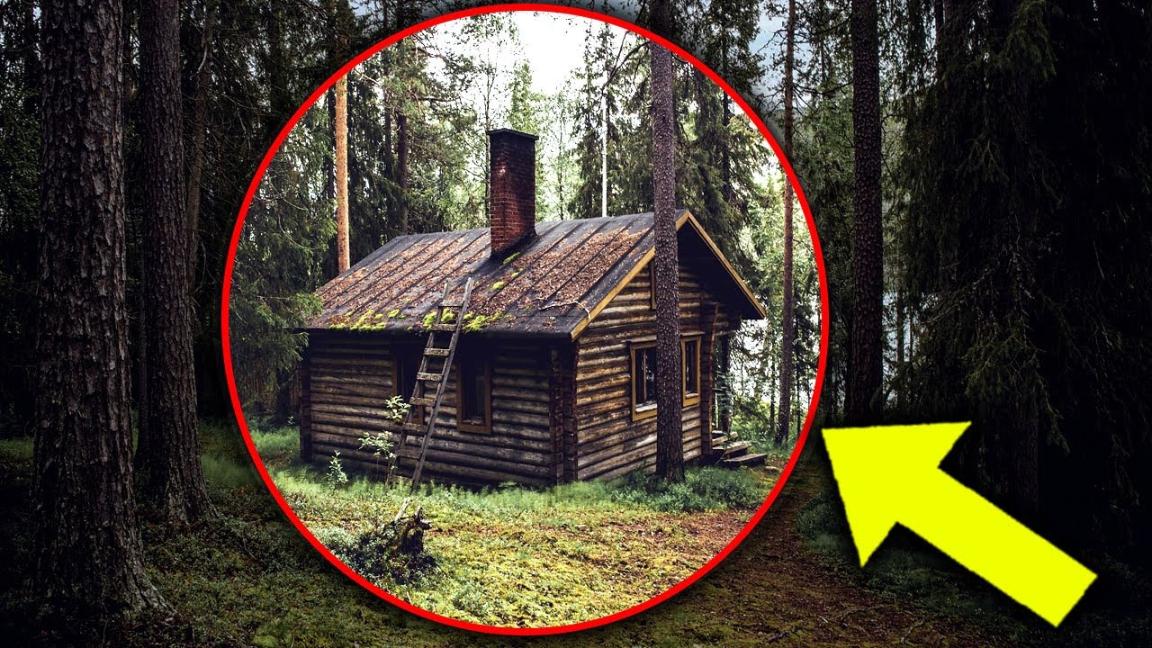 Family Laughed At Him For Inheriting Old Cabin, But Then They Looked ...