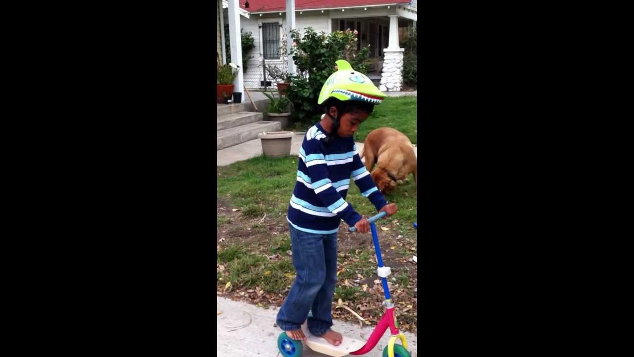 Punky on his scooter - YouTube