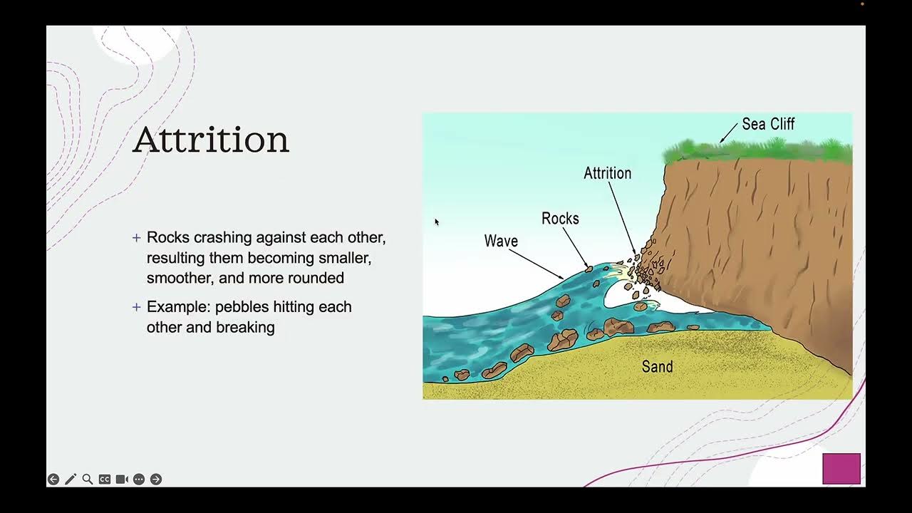 Coasts: Erosion, Transportation, Deposition - GCSE Geography - YouTube