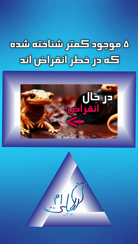 5 جانور در حال انقراض که کمتر کسی میشناستشون😰🌴 Facts فکت فکتباحال فکتعجیب Fact دکامفکت