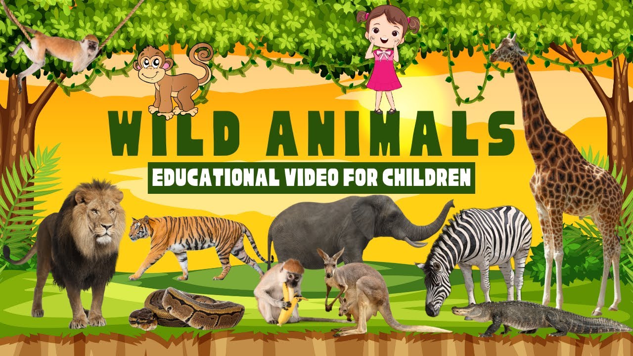 Learn Wild Animals | Exploring the Wild Animal Kingdom for Kids ...