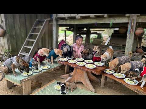 A busy day: Sowing rice, feeding dogs and my goats - ha thi muon