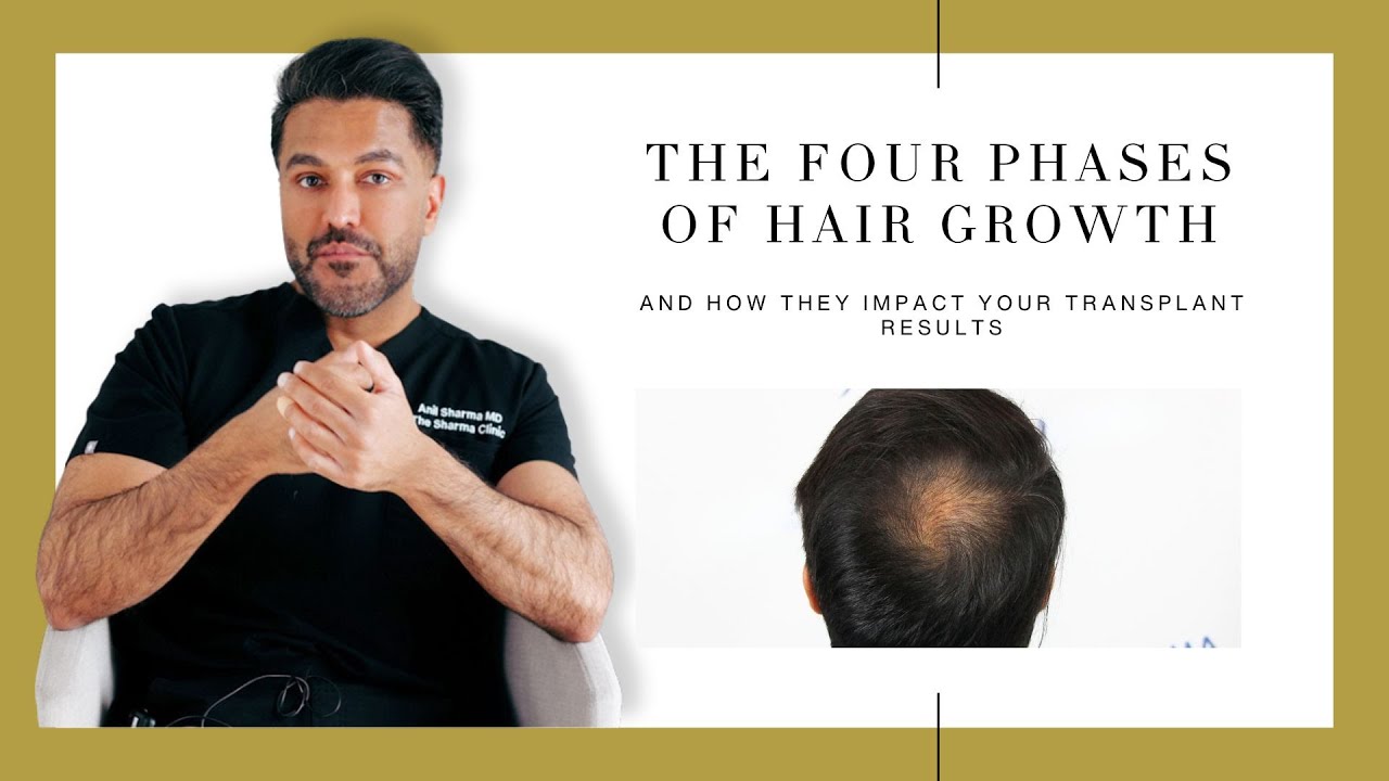What Are The Four Phases Of Hair Growth? - YouTube