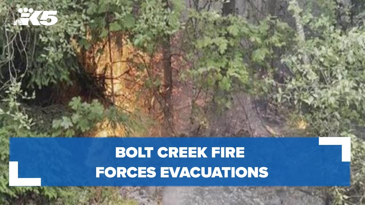 Gold Bar business helps neighbors evacuating due to Bolt Creek Fire ...