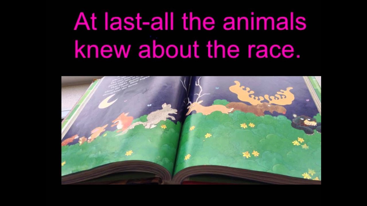 Turtle's race with beaver - YouTube