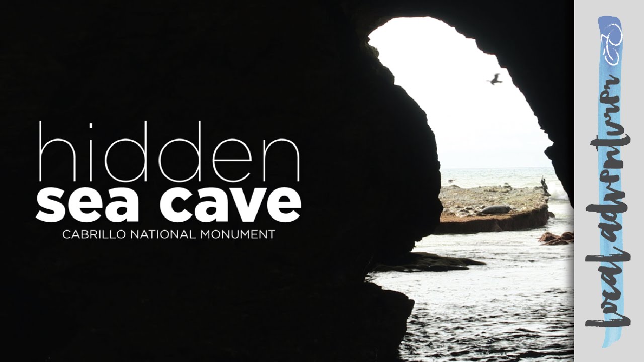 SECRET SEA CAVE SAN DIEGO | Local Adventurer - YouTube