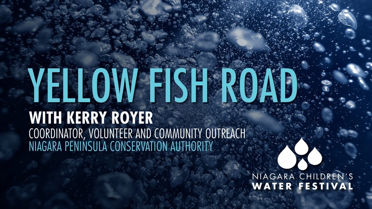 YELLOW FISH ROAD - YouTube