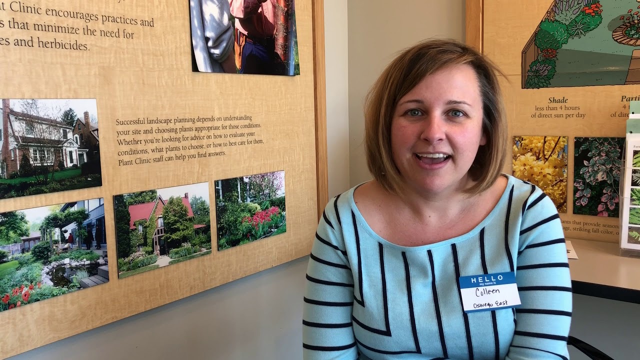 Colleen Calvey. Mentor. Walsworth Yearbooks 2018 Adviser Mentor Program ...