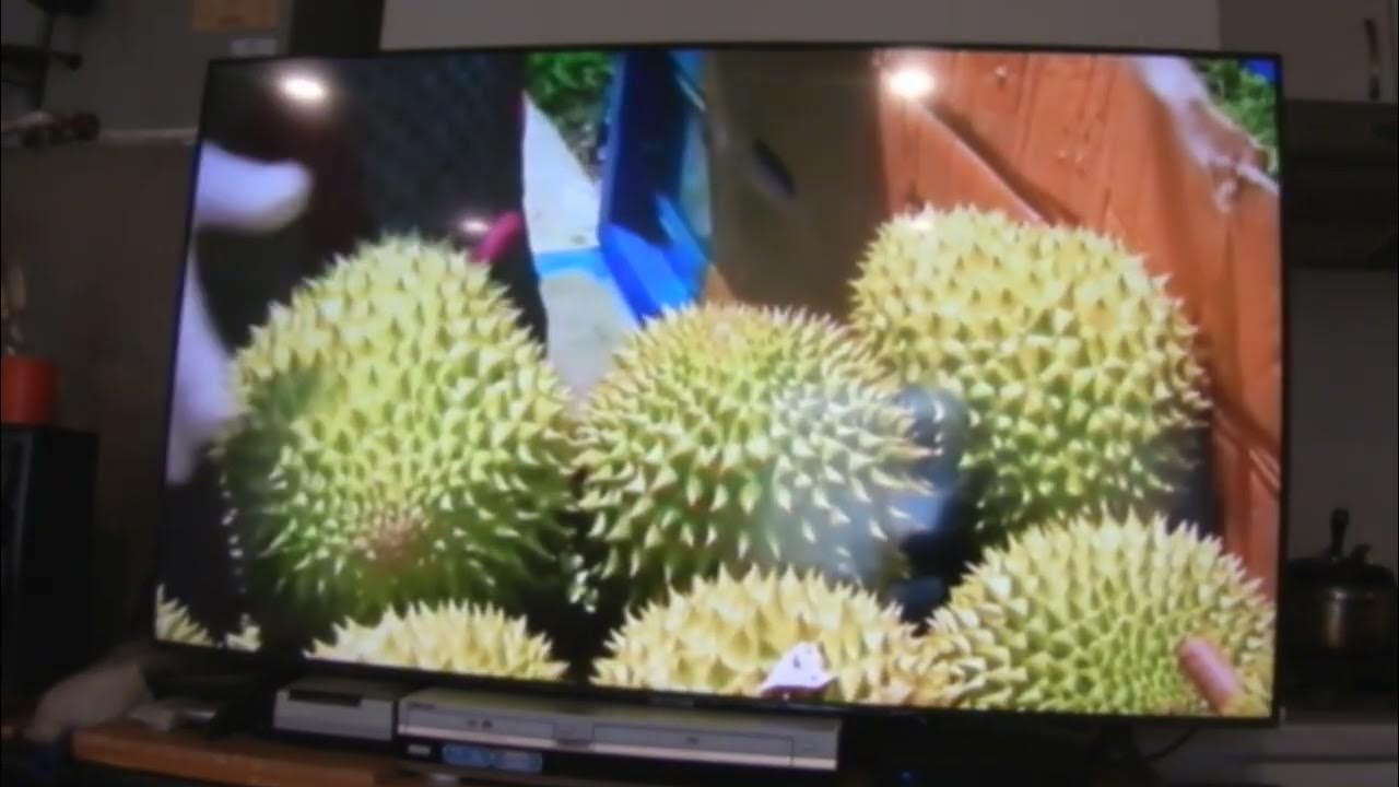 2038 HonvieTv News with Trương Minh and Chu Ly Friday, 5/31/2024 6 pm.🐺 - YouTube