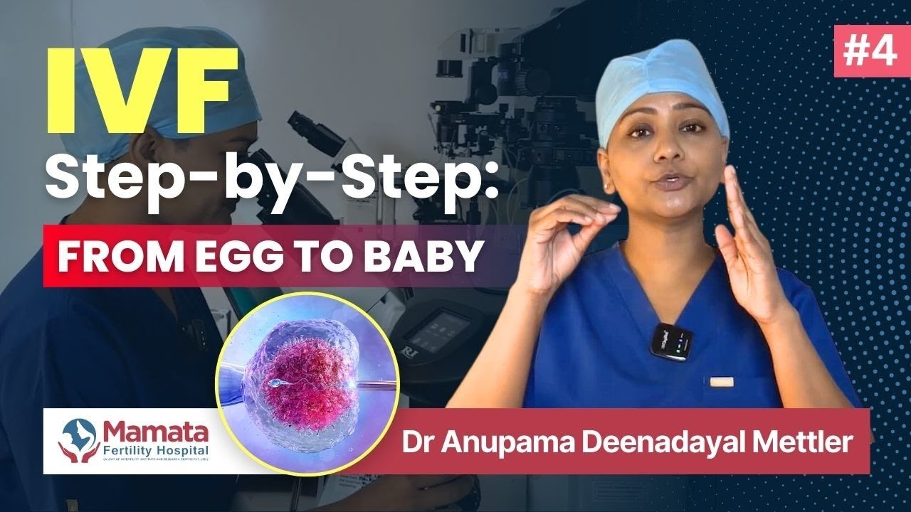 IVF Step-by-Step: From Egg to Baby | IVF Process | Dr Anupama ...