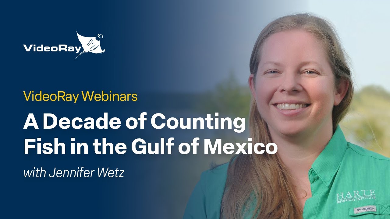 VideoRay Webinar Series: A Decade of Counting Fish in the Gulf of ...