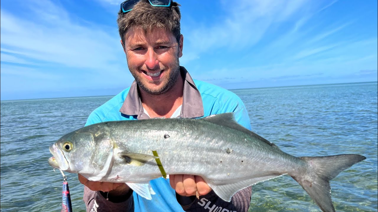 Shark bay Tailor! How to catch them in shallow water 💦 - YouTube