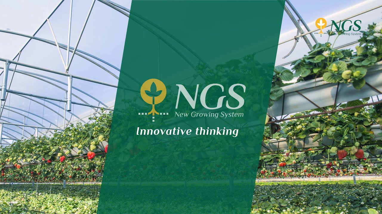 Strawberry NGS - YouTube