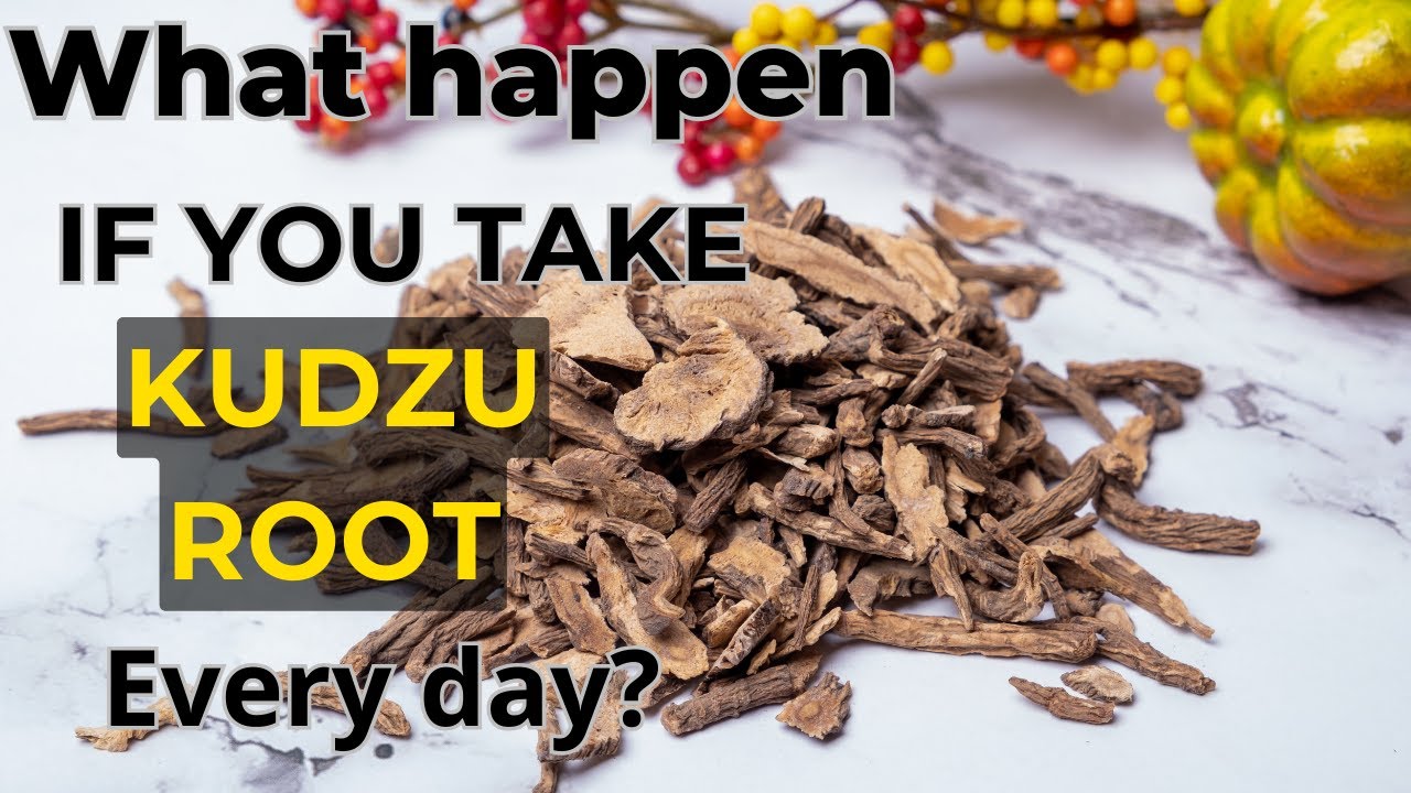 What Happens If You Take Kudzu Root every day? - YouTube