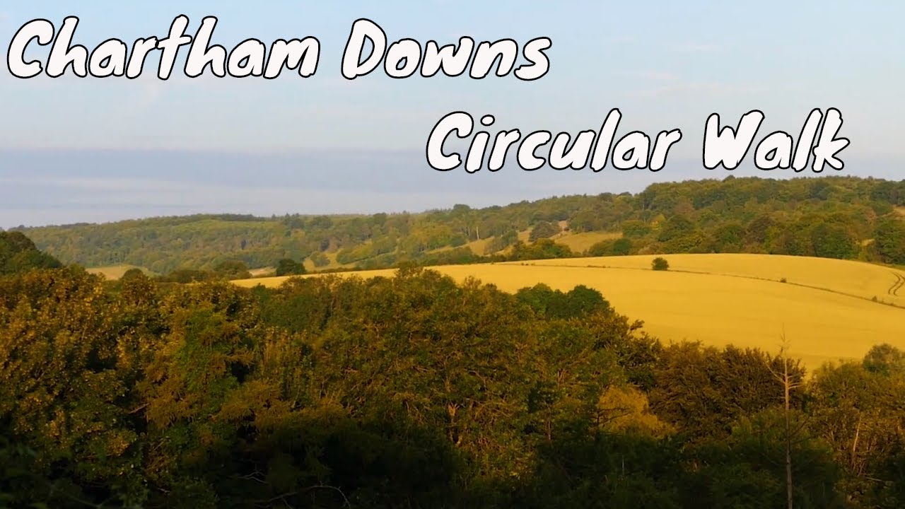 Chartham Downs (Circular Day Walk) - YouTube