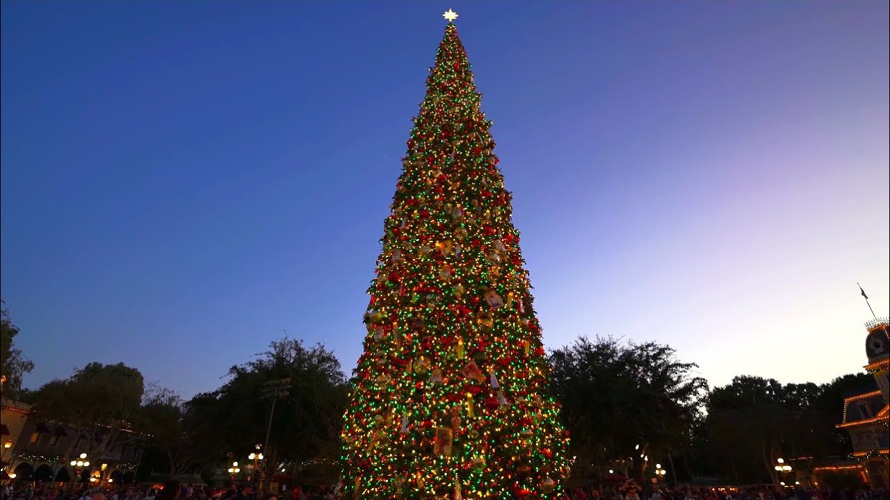 [NEW 2021] Christmas Tree Lighting - Disneyland - YouTube