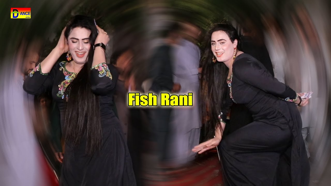 Dhola Sada Dil | Fish Rani | Latest Wedding Dance 2023 - YouTube