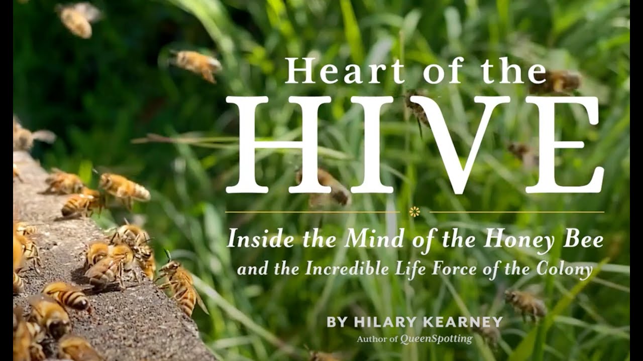 Discover the extraordinary minds and lives of honey bees with “Heart of ...