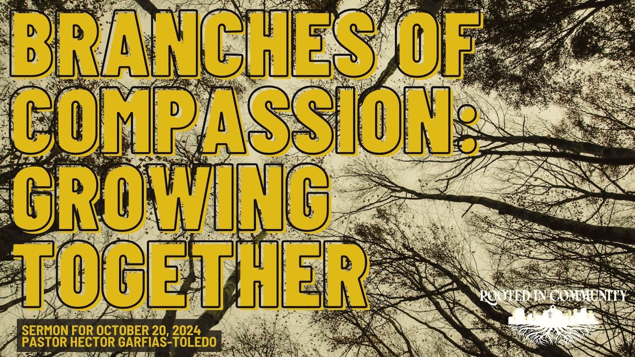 [Sermon] Branches of Compassion: Growing Together + October 20, 2024 ...