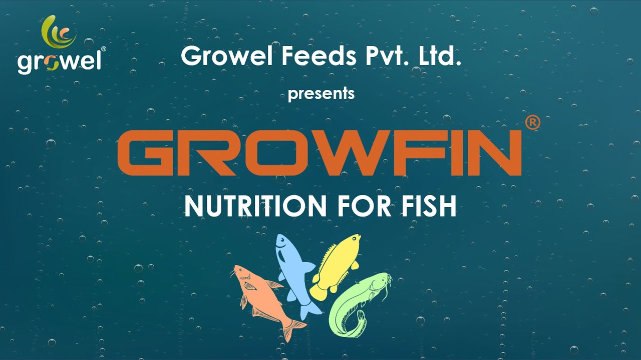 Growfin Ad - YouTube