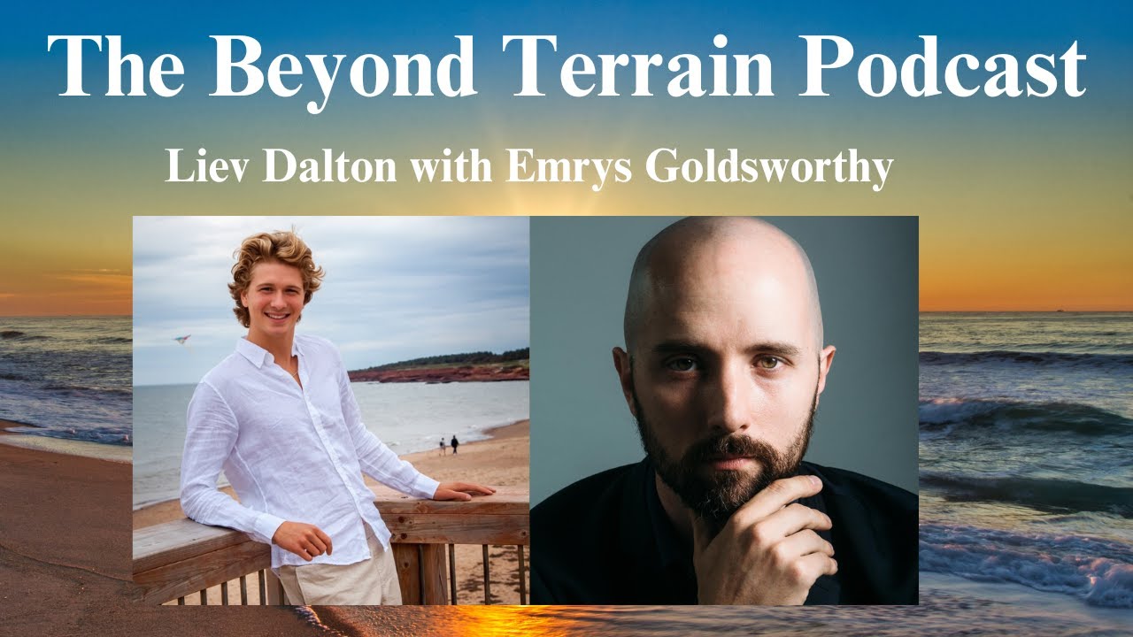 Emrys Goldsworthy on GNM, Nervous system, Movement, Pain, Art, Shock ...