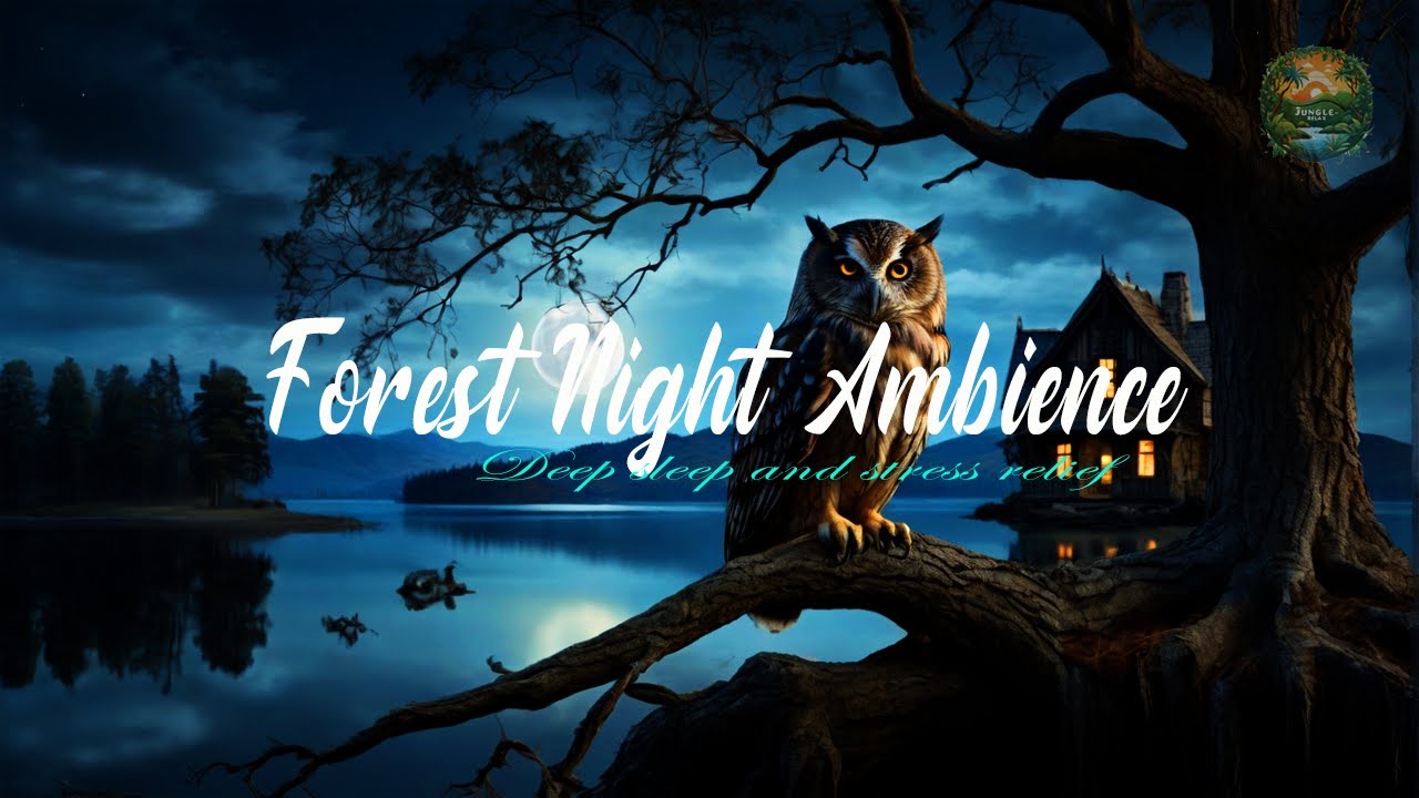 Relaxing sounds for sleep: forest at night ambience with owl bird sound ...
