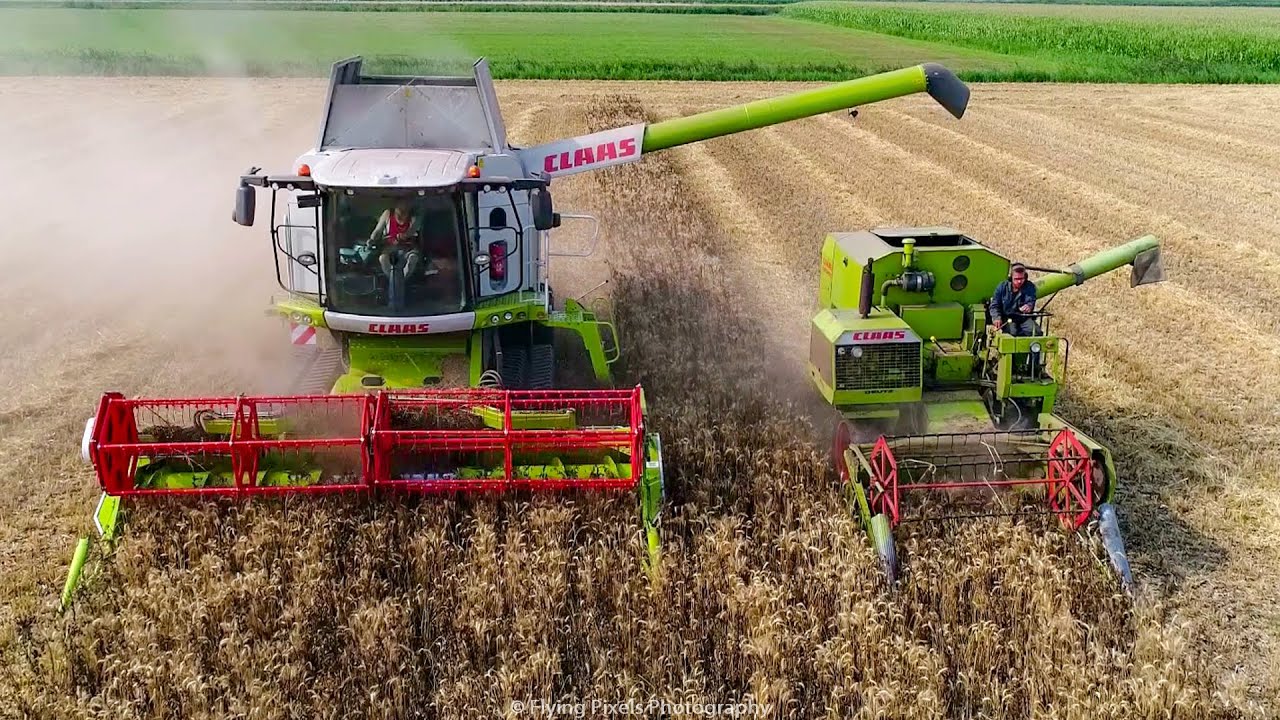 Claas Cosmos | Claas Lexion | Tarwe dorsen | Wheat harvest | Weizen ...