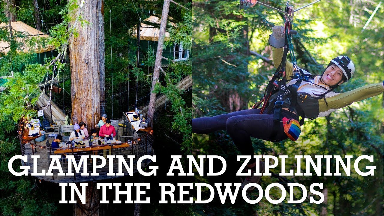 Experience Glamping and Ziplining in Northern California’s Redwoods ...