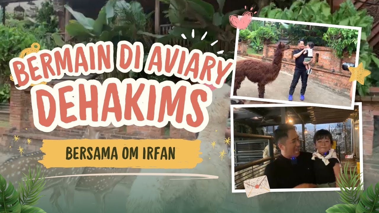 Seru zehan main ke aviary deHakims 😍 - YouTube